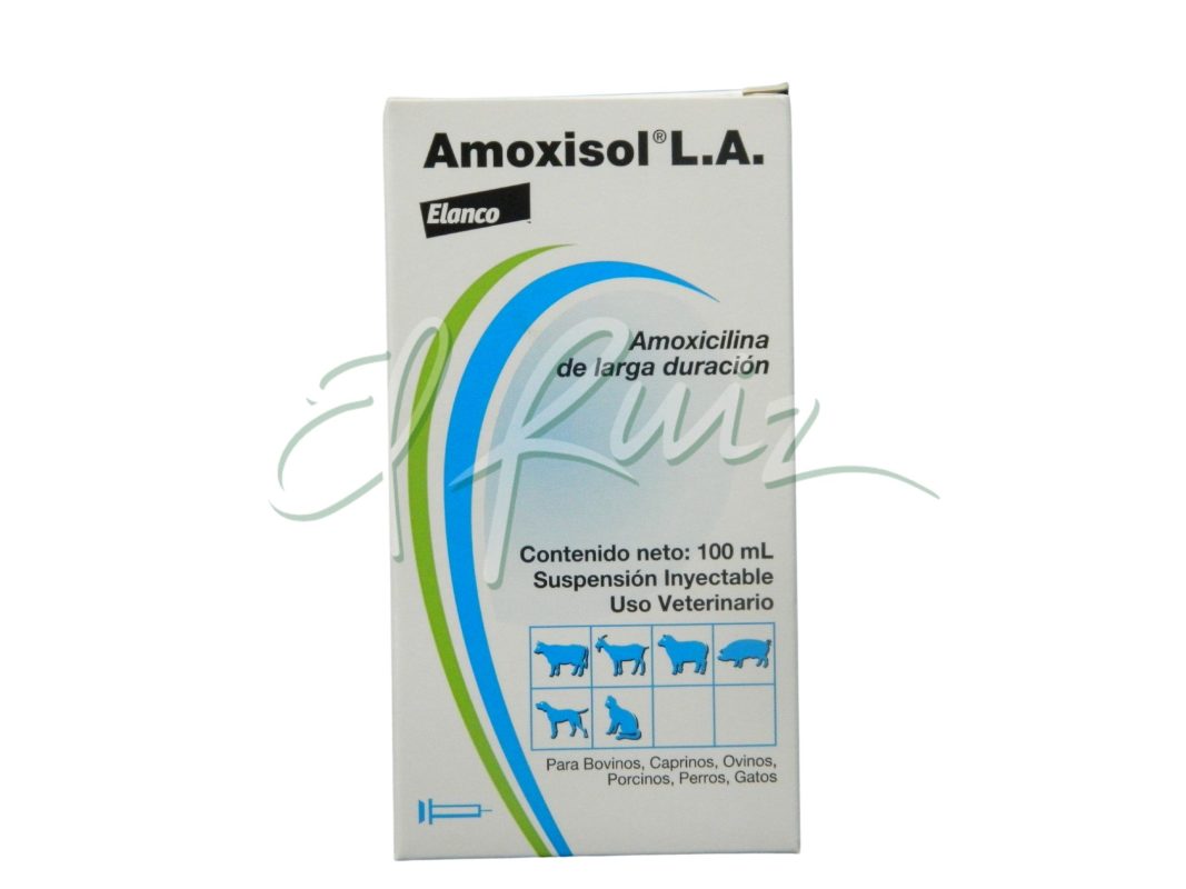 VETALOG INJ SUS 10MG/ML 10ML X1VIAL – Almacen y distribuciones ...