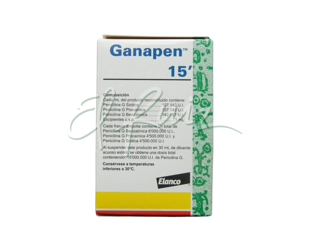 VETALOG INJ SUS 10MG/ML 10ML X1VIAL – Almacen y distribuciones ...